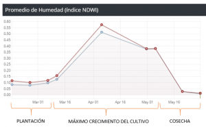 Indice de vegetación: NDVI - Brioagro