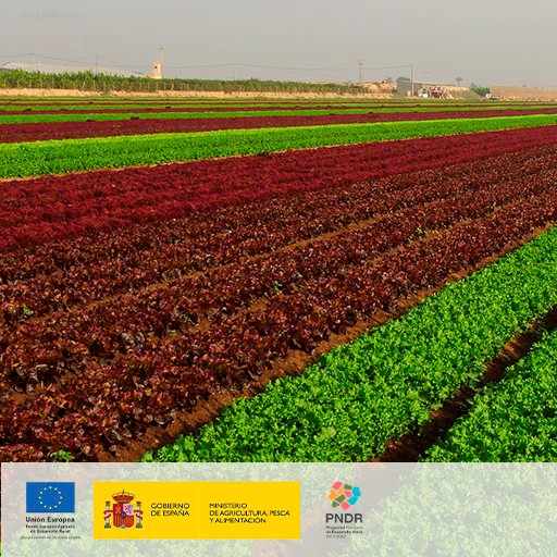 Presentación de Resultados Proyecto Recolecta - Brioagro